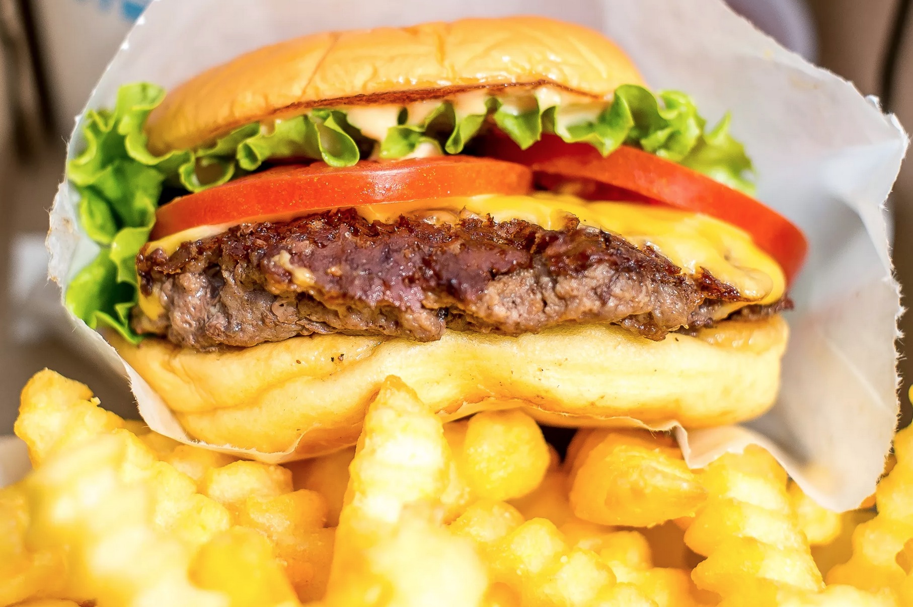 New Menu Items at Shake Shack – TalkNet